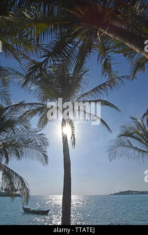 Kalpeni Island, Lakshadweep, India Stock Photo - Alamy