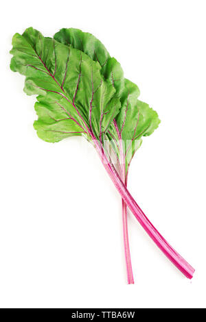 Fresh swiss chard isolated on white background Stock Photo - Alamy