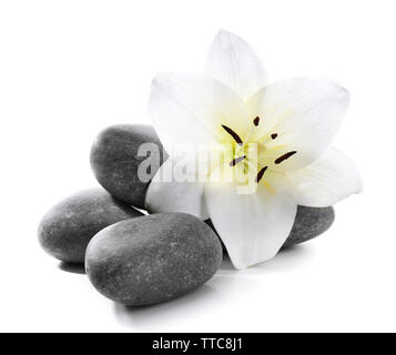 Lily and spa stones isolated on white Stock Photo - Alamy