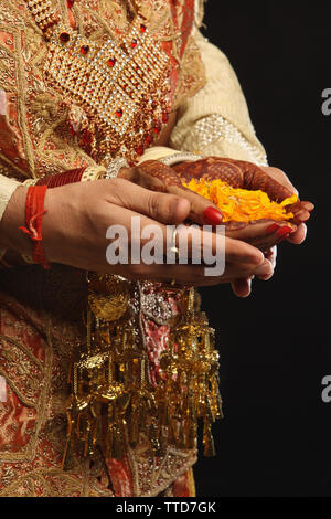Indian Tradition married couple performing basil Tulsi Pooja in ...