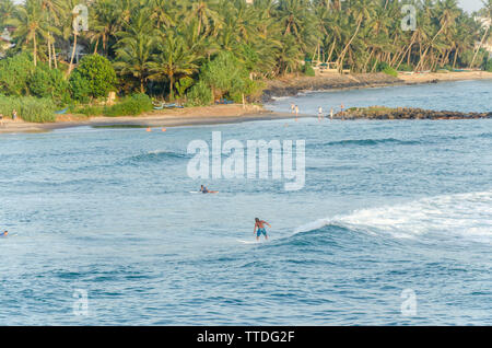 Surfing a wave at Mirissa Beach, Sri Lanka Stock Photo - Alamy