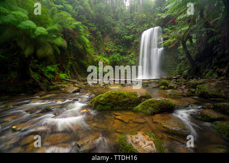 Beauchamp Falls in the rainforest, Great Otway National Park, Otways ...