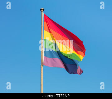 A six-color Rainbow Flag against a backdrop of other rainbow flags ...