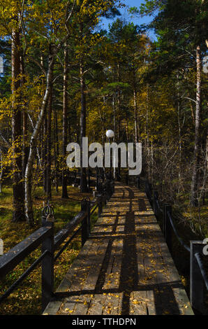 wooden bridge in the forest sunlight morning Stock Photo - Alamy