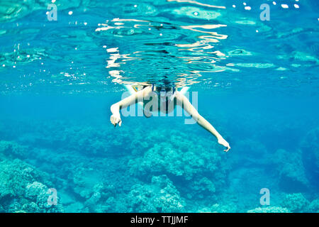 Young woman snorkeling in transparent shallow sea. Young woman ...