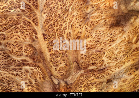 Real burl wood striped for Picture prints interior decoration car ...