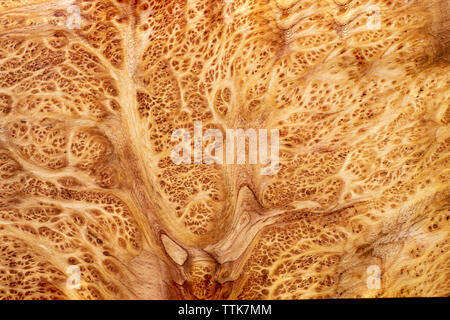 Real burl wood striped for Picture prints interior decoration car ...