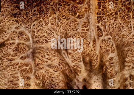 Real burl wood striped for Picture prints interior decoration car ...