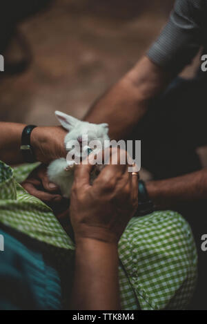 Midsection of senior man holding rabbit Stock Photo - Alamy
