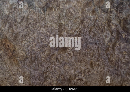 Nature salao burl wood striped for Picture prints interior decoration ...