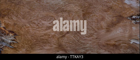 Nature salao burl wood striped for Picture prints interior decoration ...