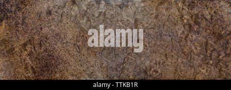 Nature salao burl wood striped for Picture prints interior decoration ...