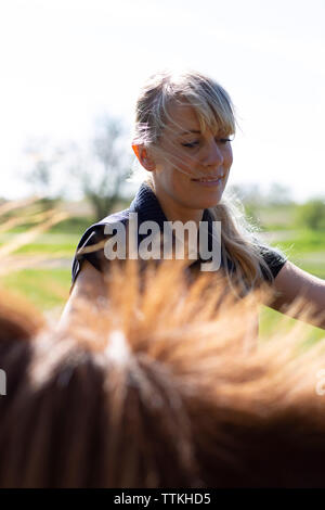 A selective focus of a brown horse Stock Photo - Alamy
