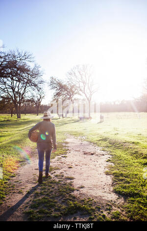 Hispanic woman farmer harvesting green garden rocket on farm plantation ...