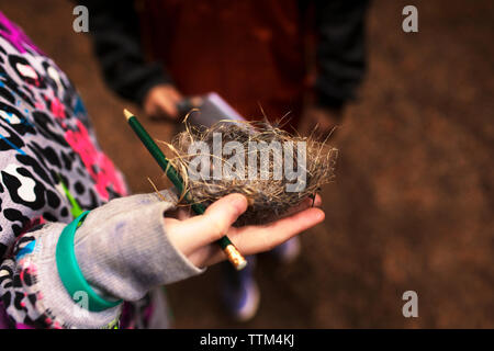 Cropped image of hand holding pencil while working in office Stock ...