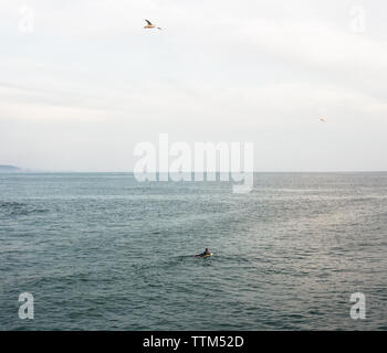 Man surfboarding in sea against sky Stock Photo - Alamy