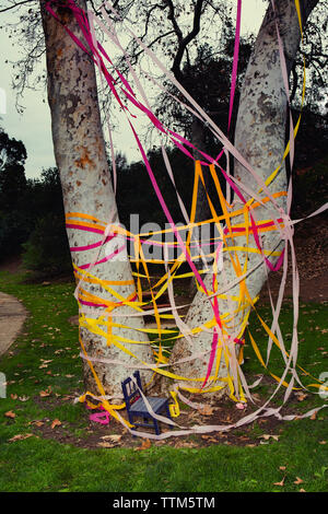 Multi colored ribbons wrapped around a sacred tree at a Thai Buddhist ...