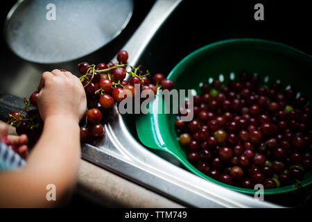 cropped image of girl in red dress and black jacket holding poker cards ...