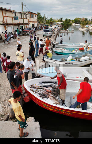 BELIZE. Belize City, fish for sale at the Southside fishmarket Stock ...