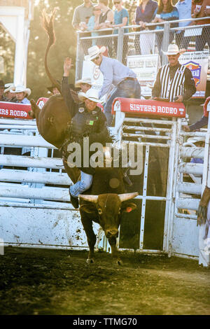 USA, Oregon, Sisters, Sisters Rodeo, cowboys ride a 2,000 pound bull ...