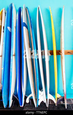 Surfboards in a row at store Stock Photo - Alamy