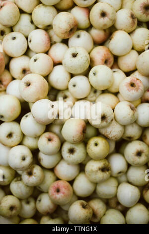 A wicker box full of juicy orange fruits on stone background Stock ...