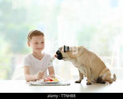 Cute boy and pug eating at table in kitchen Stock Photo - Alamy
