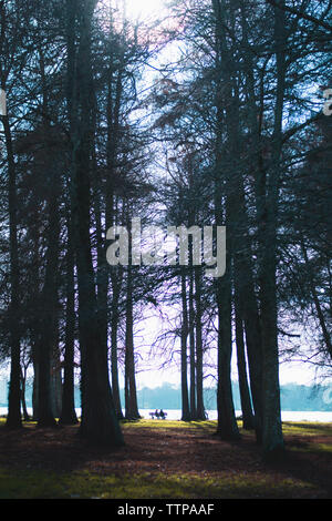 Bench Overlooking a Calm Lake with Trees Reflecting in the Water Stock ...