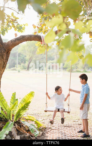 Boy with rope sitting on tree branch Stock Photo - Alamy