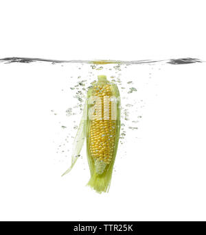 Unpeeled corn falling into water on white background Stock Photo - Alamy