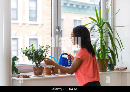 Potted houseplants and watering can on wooden window sill indoors Stock ...