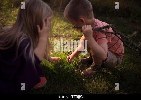 Two siblings playing together and touching each other hands through the ...