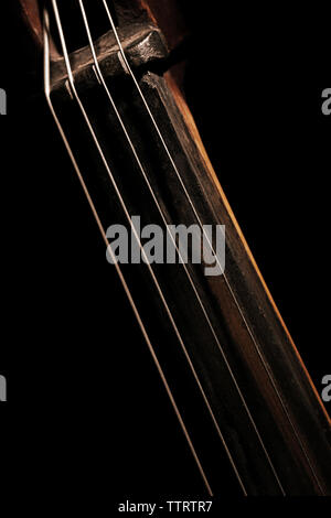 Color detail of a vintage double bass Stock Photo - Alamy