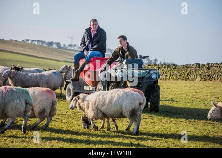 Scottish Rugby Player George "Doddie" Weir OBE Picture Copyright Chris ...