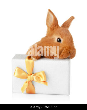 Cute funny rabbit and giftbox on white background Stock Photo - Alamy