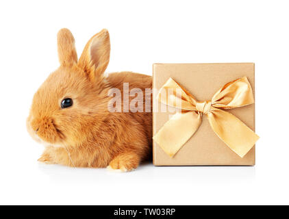 Cute funny rabbit and giftbox on white background Stock Photo - Alamy