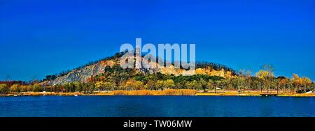 Scenery of Chenshan Botanical Garden in Shanghai Stock Photo - Alamy