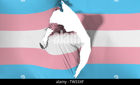 Tattered Transgender pride flag, white background, 3d rendering Stock ...