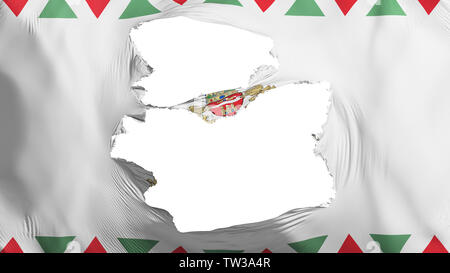 Divided Budapest flag Stock Photo - Alamy