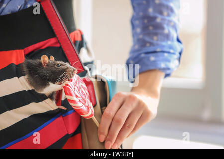 Female hand with lollipop and cute rat against defocused lights Stock ...