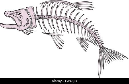 Hand drawn fish skeleton. Sketch style. Vector illustration. T-shirt ...