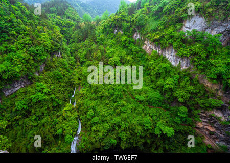 The forest at the seam of the Longshui Gorge Stock Photo - Alamy