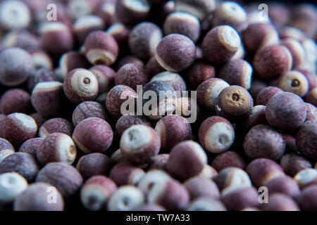 A delicious ingredient, Gorgon, also known as Zhaoshi and chicken head ...