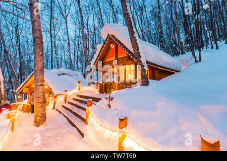 Hokkaido in winter is as pure as a fairy tale, and the forest elf ...