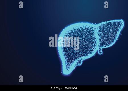 Human Liver Internal Organ Triangle Low Poly. Connected dots blue color ...