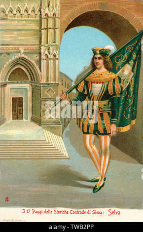 Flags of the Siena contrade (districts), Palio festival background, in ...