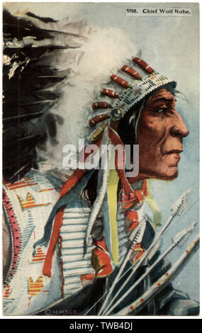 Chief Wolf Robe, Cheyenne Native American, Portrait, 1909 Stock Photo ...