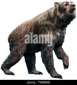 Illustration of a giant short-faced bear (Arctodus simus). This extinct ...