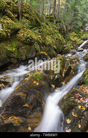 Huntington Cascades on Cascade Brook in Dixville Notch State Park, New ...