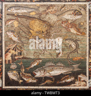 Roman mosaic. Marine with fish. From Pompeii, House of the Faun, (VI ...
